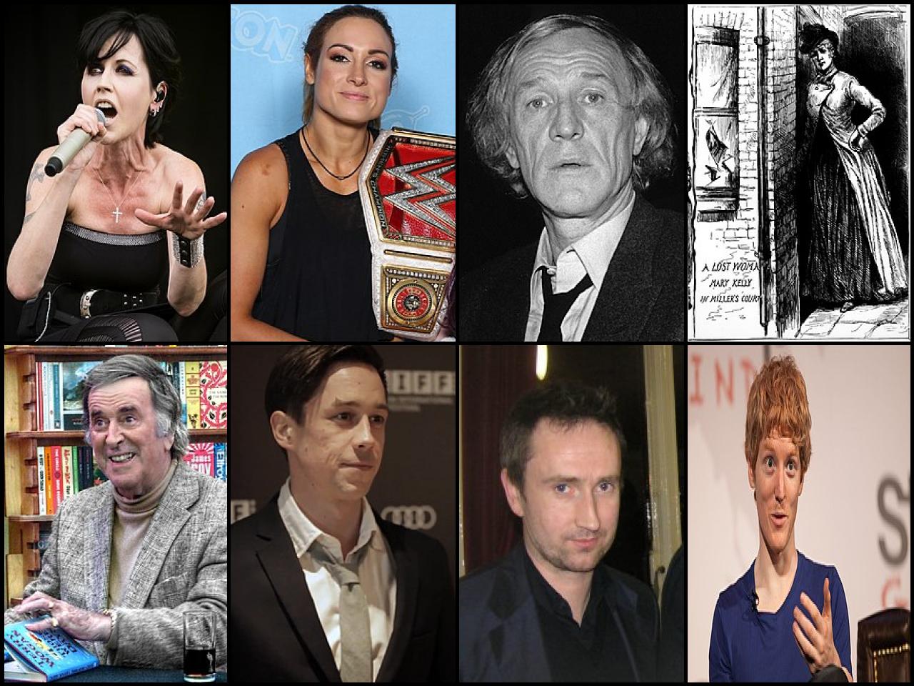 List of Famous people born in County Limerick, Ireland - FMSPPL.com